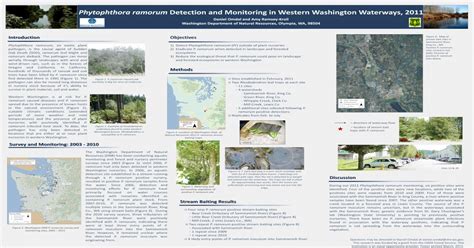 Pdf Phytophthora Ramorum Detection And Monitoring In Western
