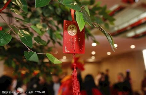 挂树图片免费下载 挂树素材 挂树模板 图行天下素材网
