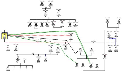 Genogram Examples Genopro