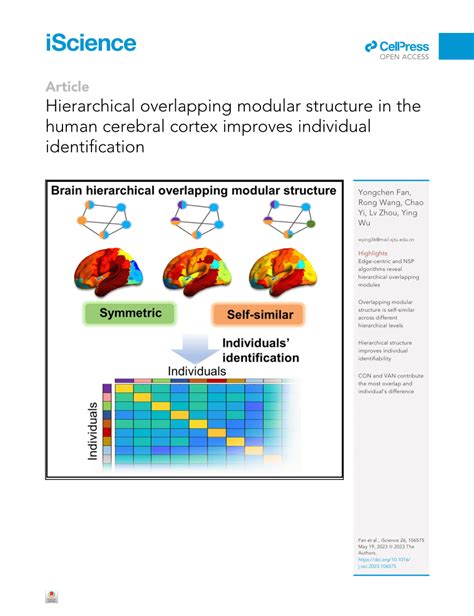Pdf Hierarchical Overlapping Modular Structure In The Human Cerebral Cortex Improves