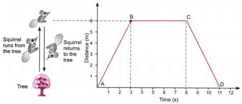 Motion Class 9 Extra Questions Science Chapter 8 Learn CBSE