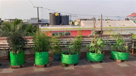 Bottle Gaurd Detection Object Detection Dataset By Learning