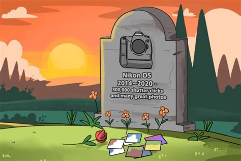 How To Find The Shutter Count Of Your Camera Ratings