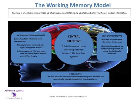 Poster Memory The Working Memory Model Teaching Resources