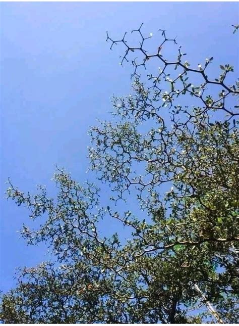 Gaurav Kumar Jain On Linkedin Chemistree ️🛑 Taken From Someones Post