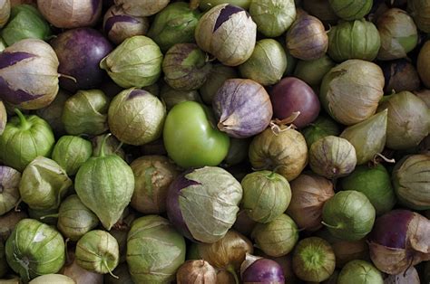 Learn About Tomatillos Origins Cooking Tips And Easy Fried Tomatillo