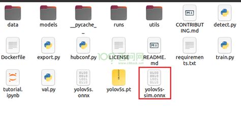 1 YOLOV5目标检测算法 东山Π