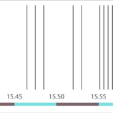 Barcode Chart Showing The Pace Of New Content Where Each Line