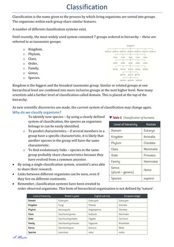 Classification Notes Teaching Resources
