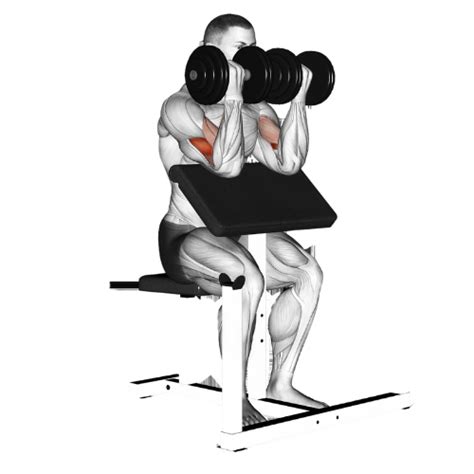How To Master The Bayesian Curl For Optimal Results 2025