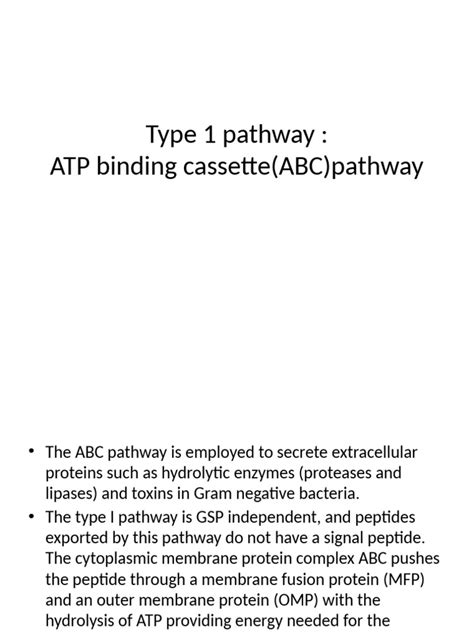 Type 1 Pathway Pdf