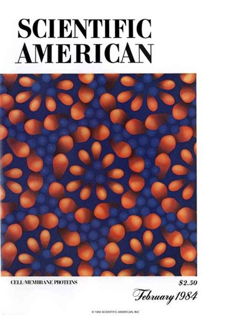 The Oldest Eukaryotic Cells Scientific American
