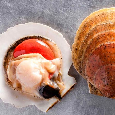 Anatomy Of A Scallop Americas Test Kitchen Classes