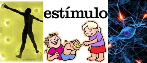Estimulo Definición Tipos Respuesta Celular Respuesta Sistemática