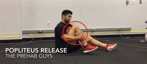 슬와근 Popliteus 촉진 방법 및 마사지 방법 네이버 포스트