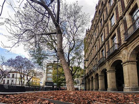 墨西哥城市中心的建筑