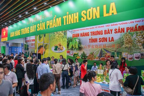 欧洲时报欧时网 欧时大参 2023年广西·凭祥中越边关旅游节开幕