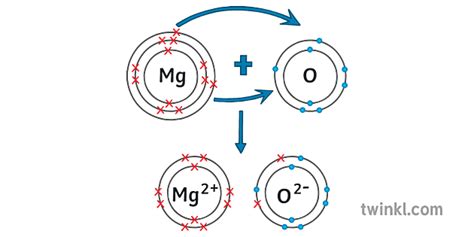 Mgo Ionic Bond Dot And Cross Diagram Science Ks4 Twinkl