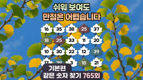 같은숫자찾기 765회 쉬워 보여도 만점은 어렵습니다 퀴즈 치매예방퀴즈 두뇌활성화 Number Search Quiz
