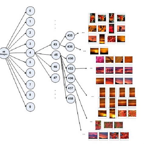 Graphical Hierarchical Representation Of Classification For The Images Download Scientific