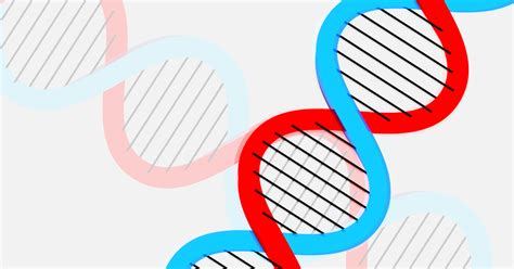 Learn About The Gene Mutations That Increase Your Risk Of Breast And