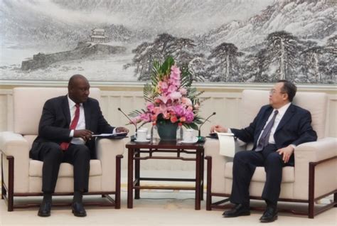 Mbelwa Kairuki On Linkedin Ccm Secretary General Cde Daniel Chongolo Met Cde Liu Jianchao