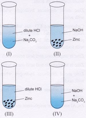 NCERT Class Science Lab Manual Properties Of Acids And Bases
