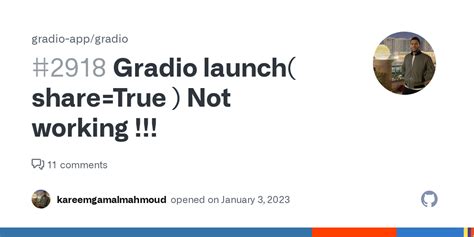 gradio launch share true not working · issue 2918 · gradio app