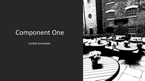 Component One With Addition Final By Sniaukaite1 Issuu