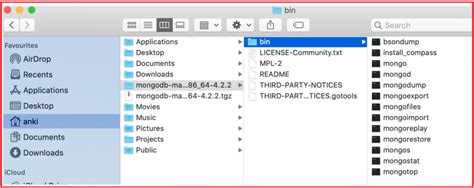 How To Install MongoDB On MacOS Dot Net Tutorials