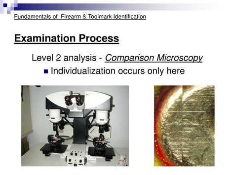 Ppt Firearm And Toolmark Identification Powerpoint Presentation Id