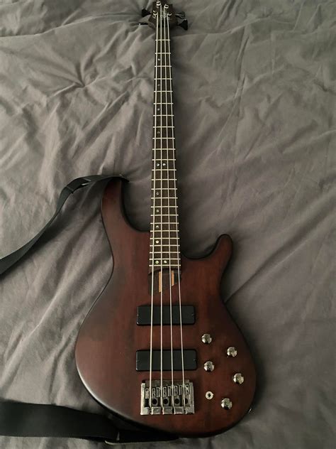 How To Make My Set Up Doom And Please Do Recommend Amp And Bass