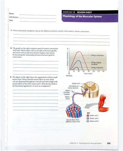 Solved Name Lab Section Date EXERCISE REVIEW SHEET Chegg