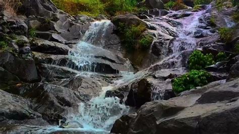 🌊명상과 휴식을 위한 강물 소리 Asmr Youtube