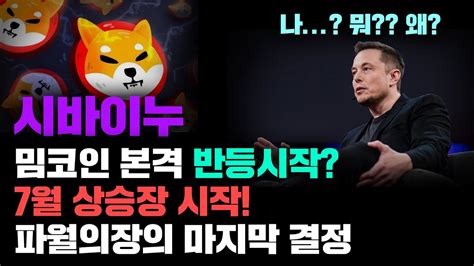 시바이누 긴급 밈코인 본격반등 시작되나 7월 100 상승장 시작됐다 파월의장 결단 미국의 은행파산위기는 코인시장 상승기회 영란은행 05p 금리인상 시바이누