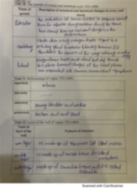 SOLUTION Task Anatomy Of The Female Reproductive System Perineum Breast Development Of