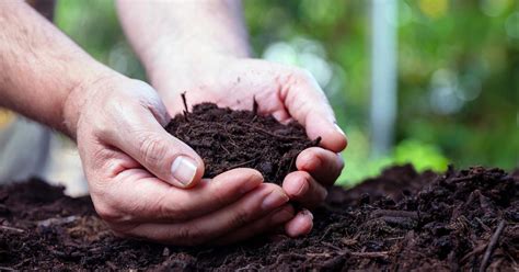 What States Allow Human Composting In An Up To Date List