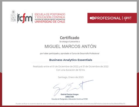 Business Analytics Essentials Pdf