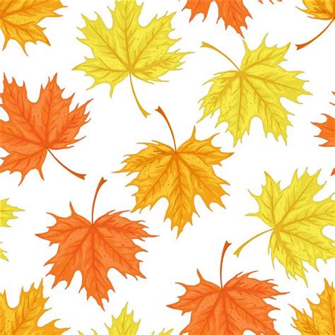 ترکیب پاییزی در زمینه سفید و روشن برگ های رنگی فصل پاييز 1703092