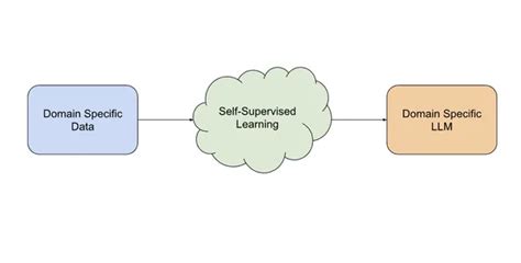 5 Best Examples Of Domain Specific Llms In Ai The Data Scientist