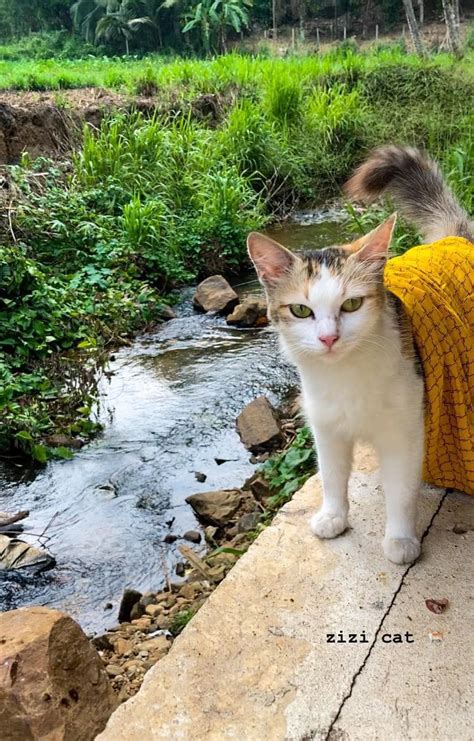 Ceylon Politix “බුරවි“ සුළි කුණාටුව ත්‍රිකුණාමලය සහ පේදුරු තුඩුව අතරින් මුලතිව්වලට ආසන්නව