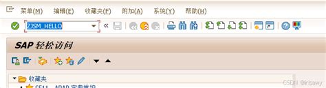 【abap 创建包、程序、事务码】abap 创建包 Csdn博客 【abap 创建包、程序、事务码】abap 创建包 Csdn博客