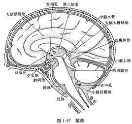 脑池 360百科