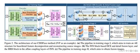 多模态图像融合的相关驱动双分支特征分解
