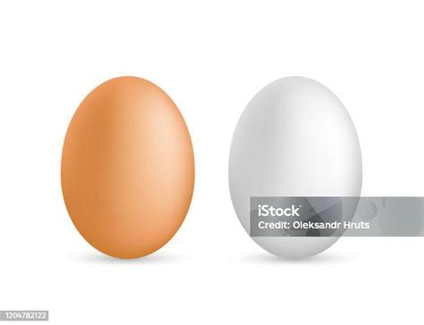 두 벡터 현실적인 흰색 계란 흰색 배경에 고립 된 계란 벡터 스톡 일러스트레이션입니다 3차원 형태에 대한 스톡 벡터 아트 및 기타 이미지 3차원 형태 갈색 건강한