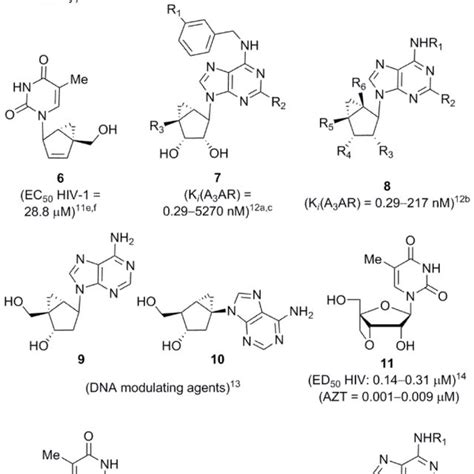 Synthesized Compound Library Of Bridged Nucleoside Analogues 15 53 Download Scientific Diagram