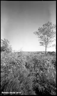 Robert Gould Fort Defiance Red Hook Brooklyn