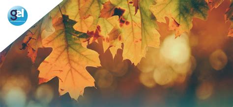 Cmi Qualifications A Comprehensive Guide From Cmi Level 3 To Cmi Level 7 Online Certification