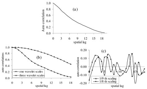 The Spatial Correlation Structure Is Shown By Autocorrelation Function