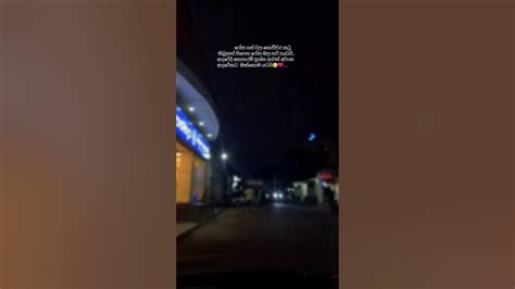 කුලදුල් අරලිය මල් 🌼 Youtube